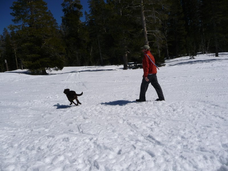 Yuba Pass Snow Park Area Sierra Nevada Geotourism