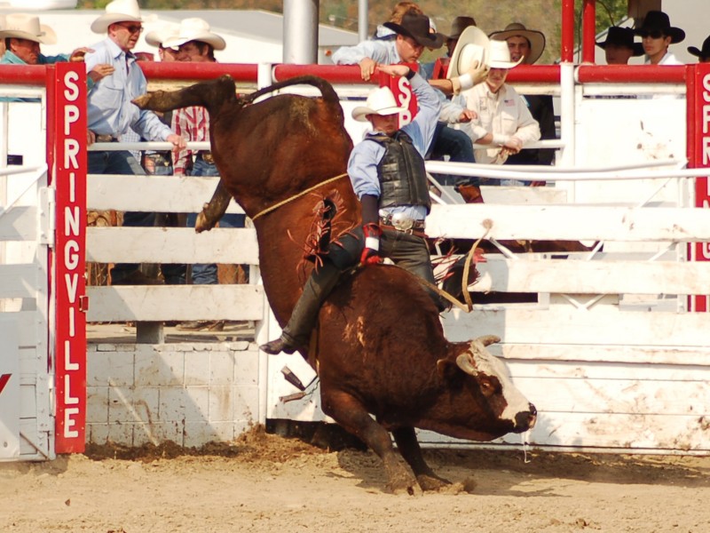 Springville Sierra Rodeo | Sierra Nevada Geotourism