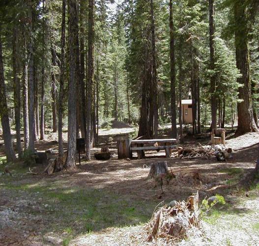 Latour State Demonstration Forest | Sierra Nevada Geotourism