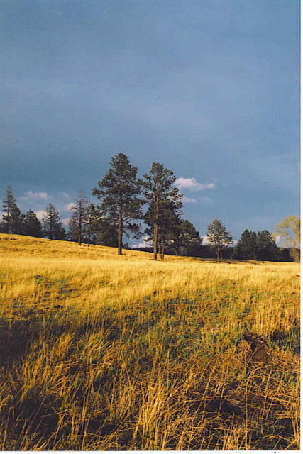 Valle Vidal Unit - Carson National Forest | Four Corners Region