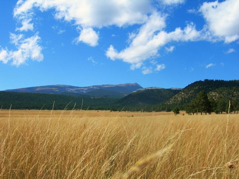 Valle Vidal Unit - Carson National Forest | Four Corners Region