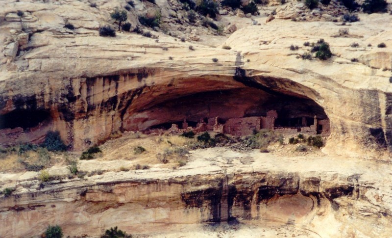 Butler Wash Ancestral Puebloan Cliff Dwellings | Four Corners Region