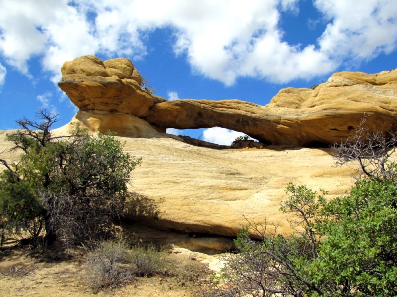 Aztec Sandstone Arches | Four Corners Region