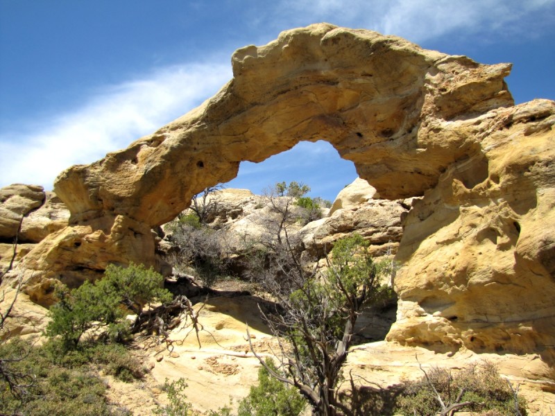 Aztec Sandstone Arches | Four Corners Region