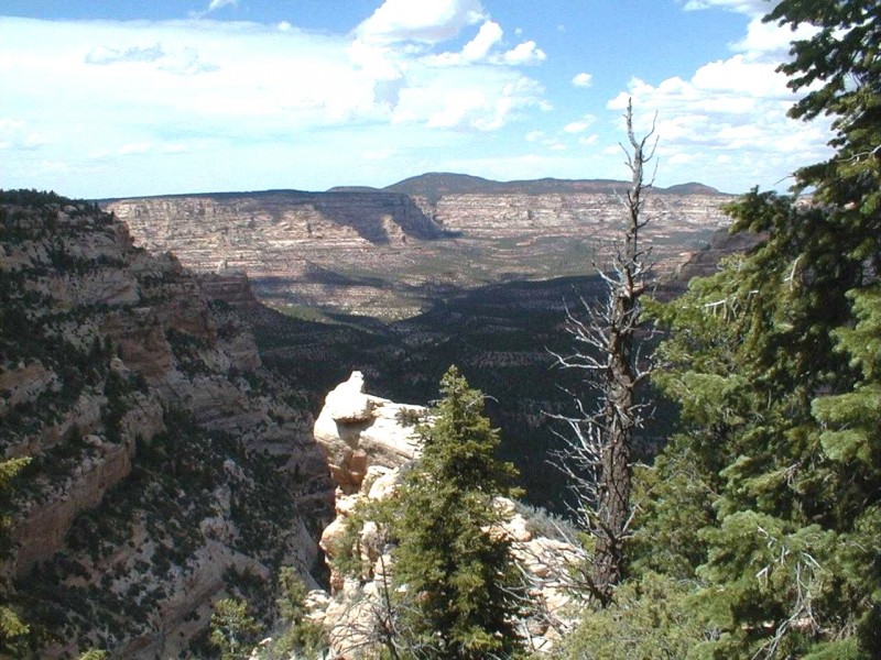 Dark Canyon Wilderness | Four Corners Region