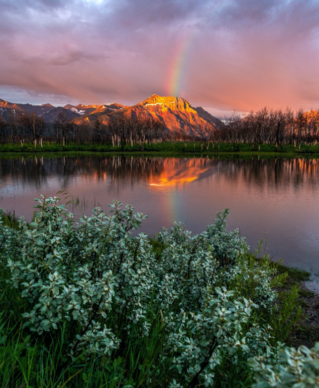 Maskinonge | Waterton
