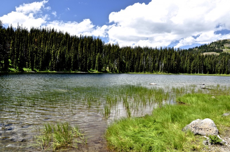 Lake Elsina to Lake Dinah – Wild Montana
