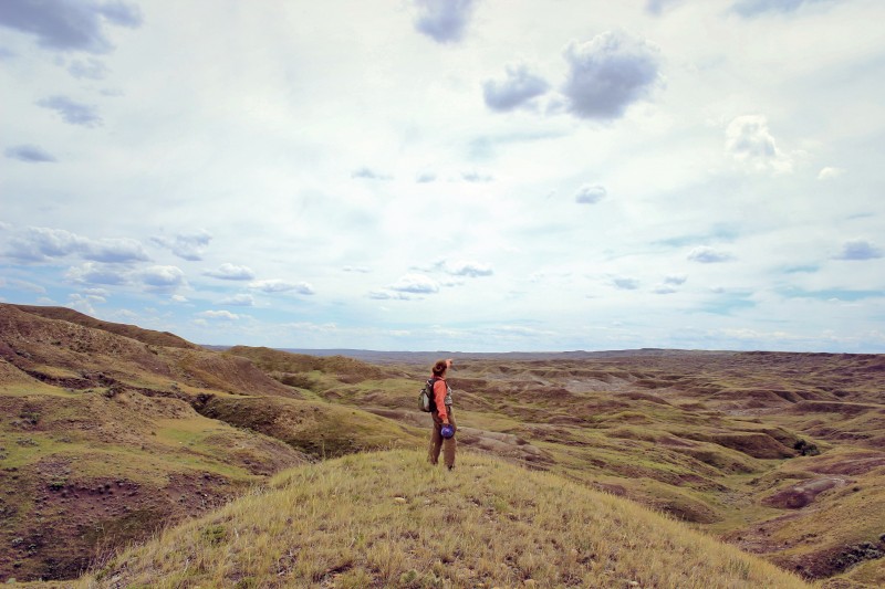 Frenchman Breaks – Wild Montana