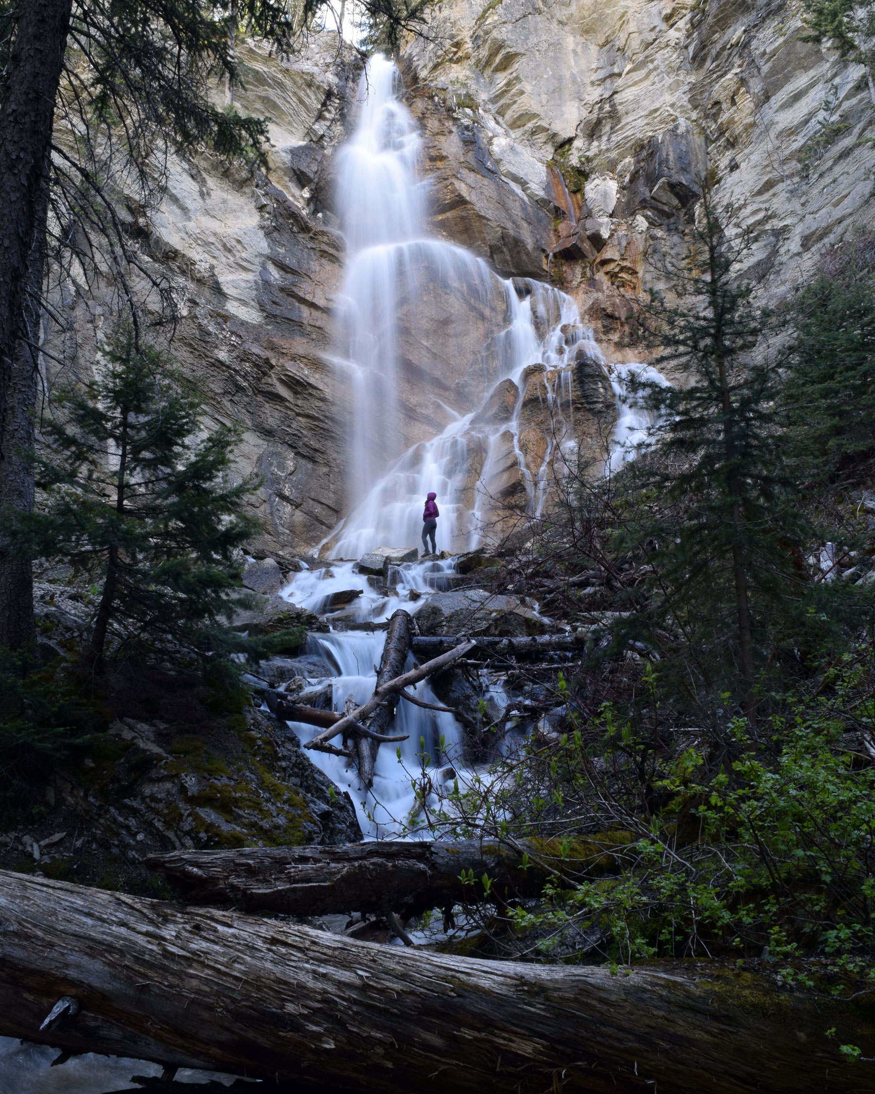 Elk Creek Trail to Cataract Falls – Wild Montana