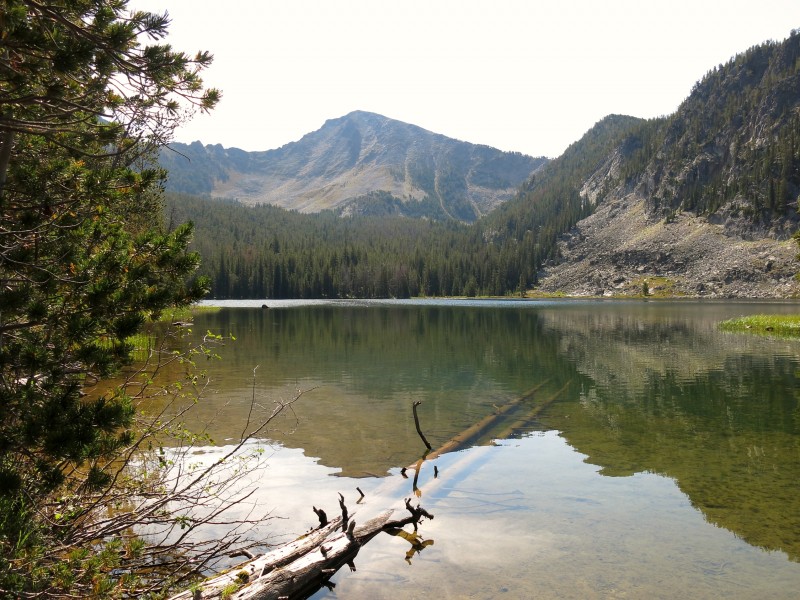 Sawtooth Lake Trail # 1195 – Wild Montana
