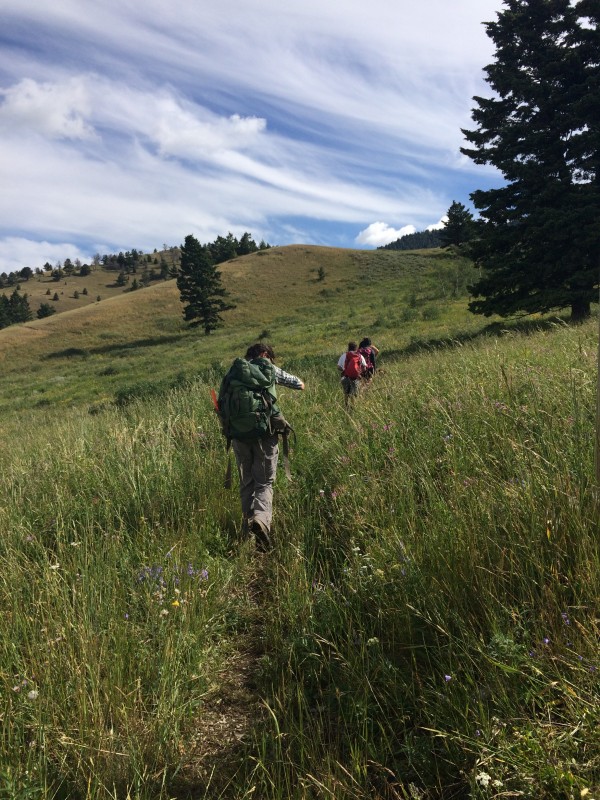 CDT Mile Creek Face Trail #219 (Continental Divide Trail) – Wild Montana