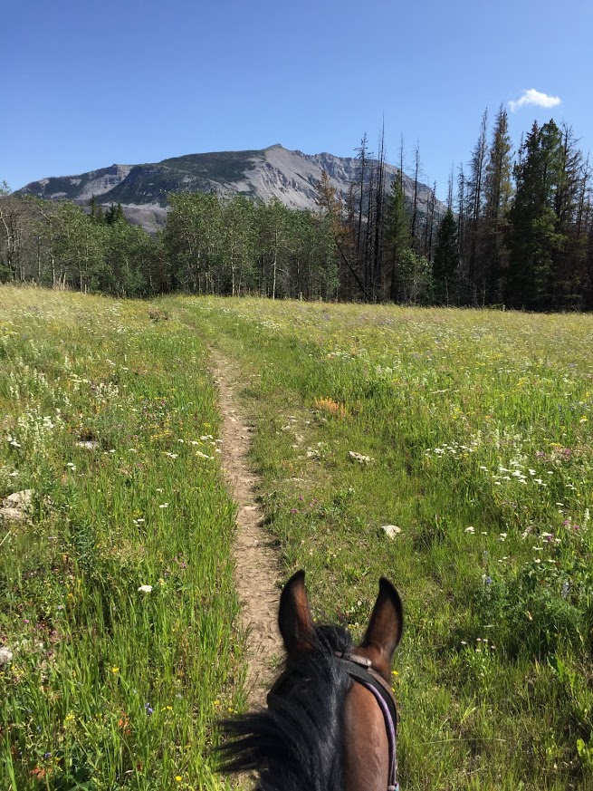 Badger Cabin – Wild Montana