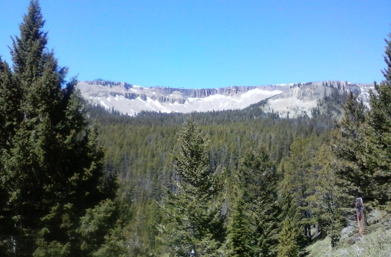 Watkins Creek Trail #215 to Coffin Lake #209 – Wild Montana