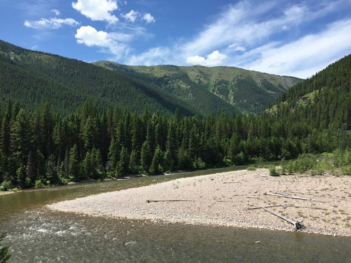Spruce Park – Wild Montana