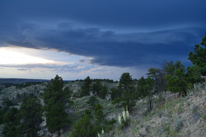 Musselshell Breaks Wilderness Study Area – Wild Montana