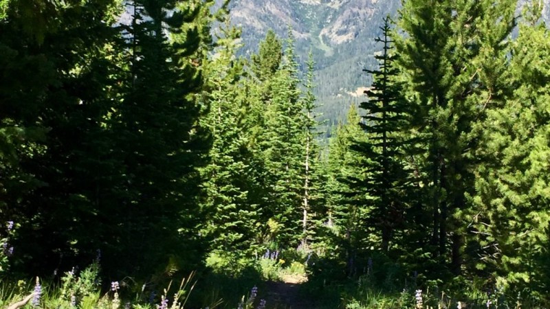 Madison Loop at Moonlight Basin – Wild Montana