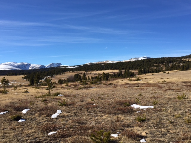 Bear Track Trail #8 (Sheep Creek Trail) to Silver Run Plateau – Wild ...