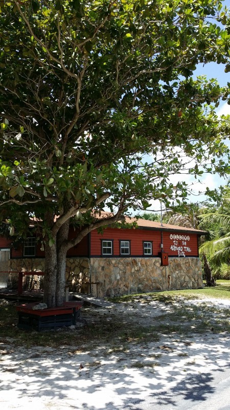 Almond Tree Bar | The Bahamas