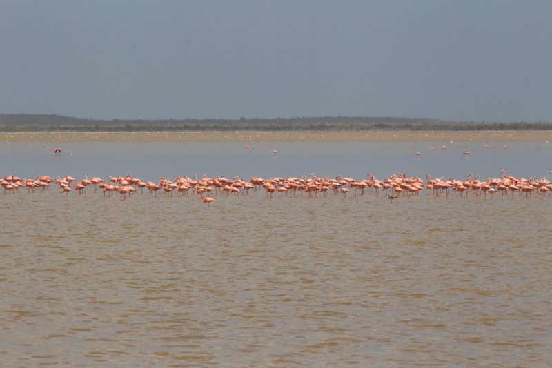 Lake Rosa | The Bahamas
