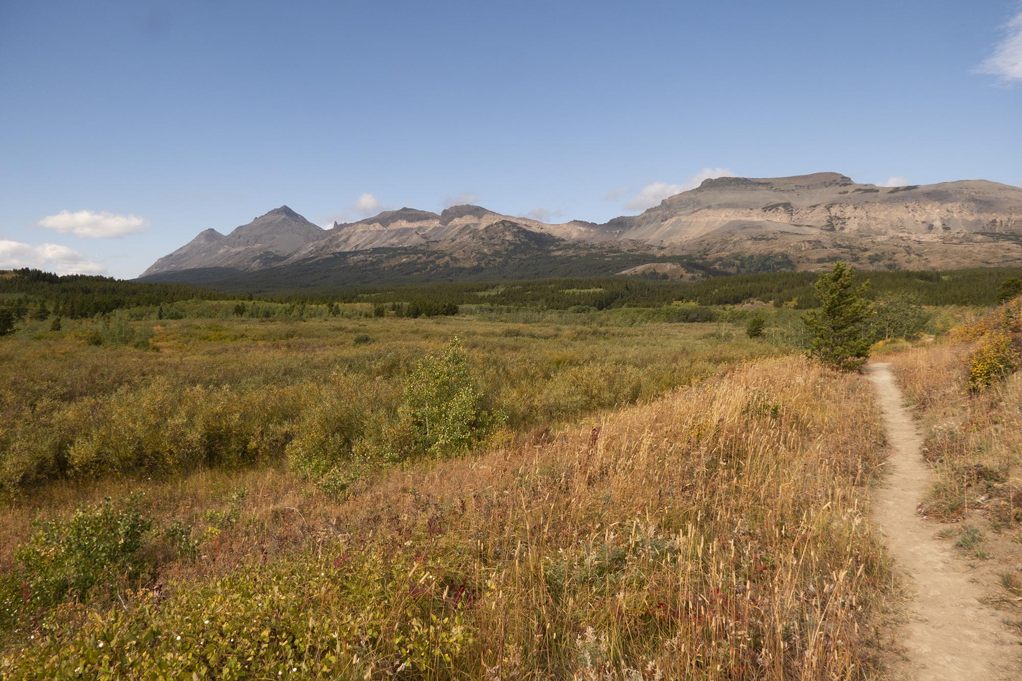 Fall Hiking with Hike 734 – Firebrand Pass | Whitefish Montana Lodging ...