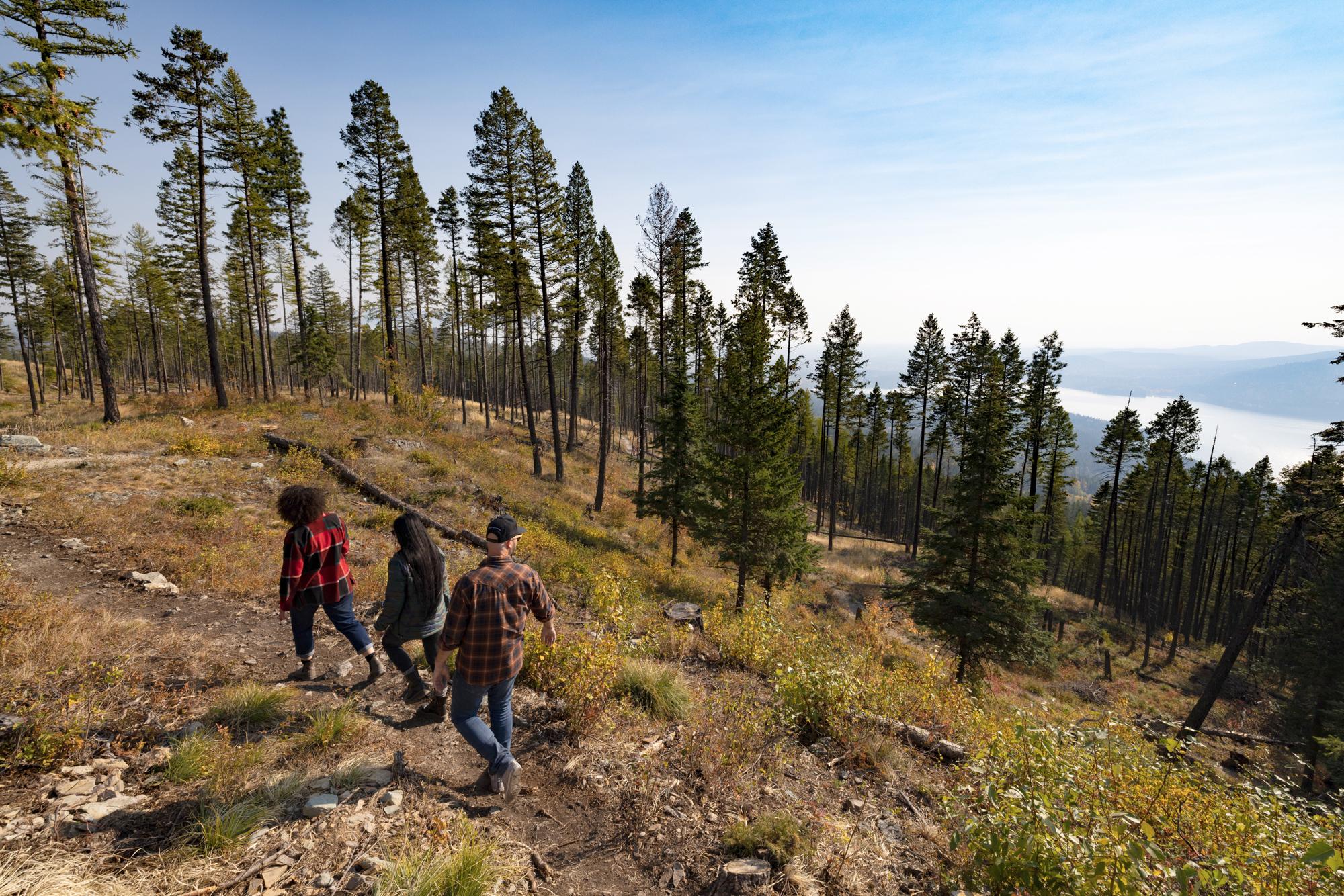 Fall Hiking Guide with Hike 734 | Whitefish Montana Lodging, Dining ...