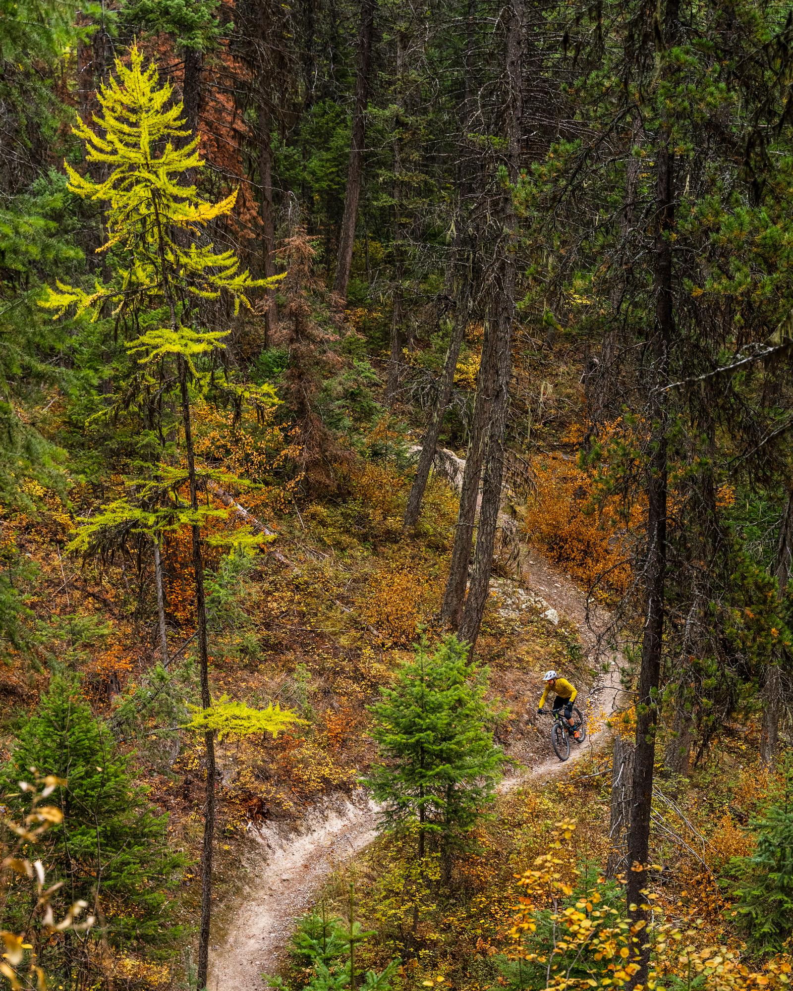 Whitefish MTB Ride Guide | Whitefish Montana Lodging, Dining, and ...