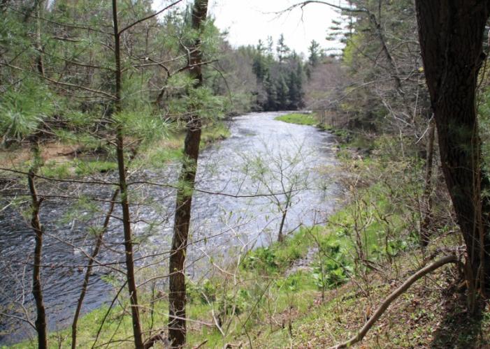 Austin T. Blakeslee Natural Area - Blakeslee, PA | Scenic Wild Delaware ...