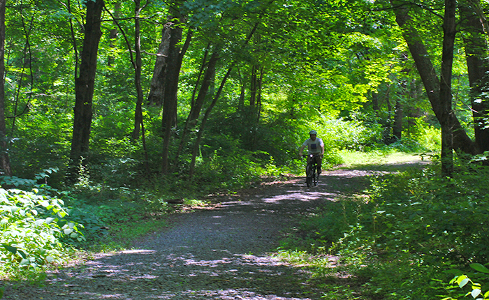 McDade Trail - Delaware Water Gap National Recreation Area | Scenic ...