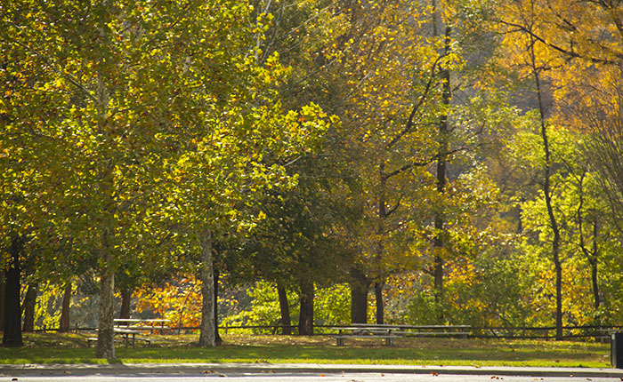 Smithfield Beach - East Stroudsburg, PA | Scenic Wild Delaware River