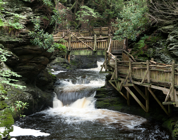 Are Dogs Allowed At Bushkill Falls
