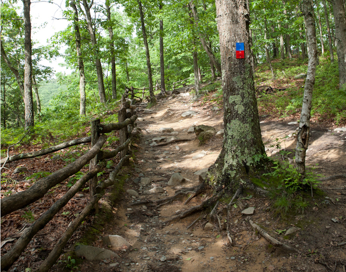 Bushkill Falls - Trails - Bushkill, PA | Scenic Wild Delaware River