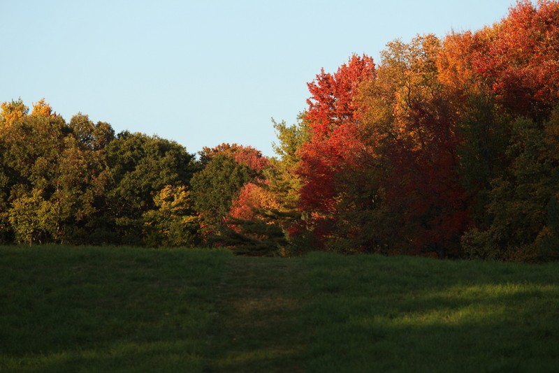 Dorflinger-Suydam Wildlife Sanctuary - White Mills, PA | Scenic Wild ...