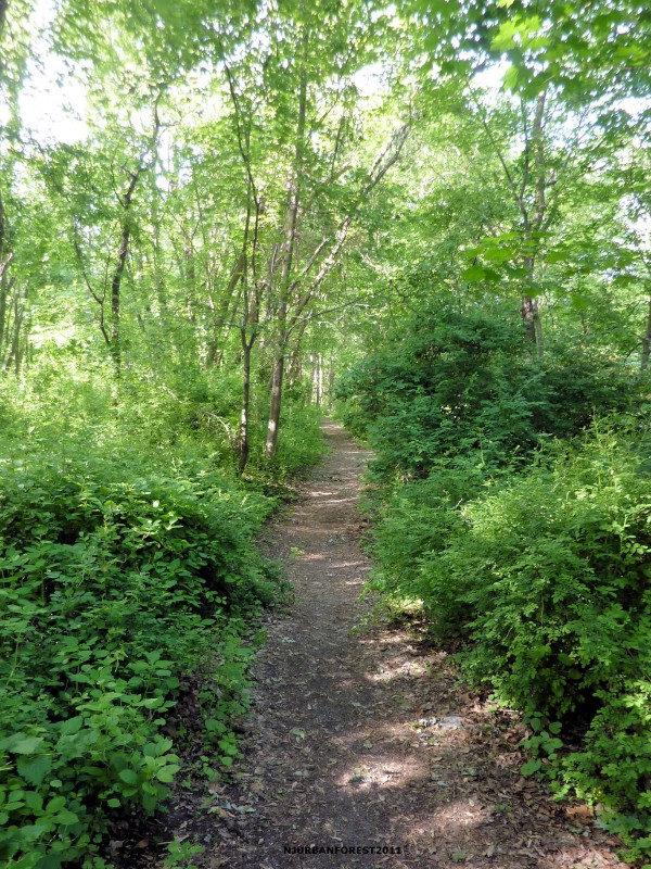 Kittatinny Valley State Park - Andover, NJ | Scenic Wild Delaware River