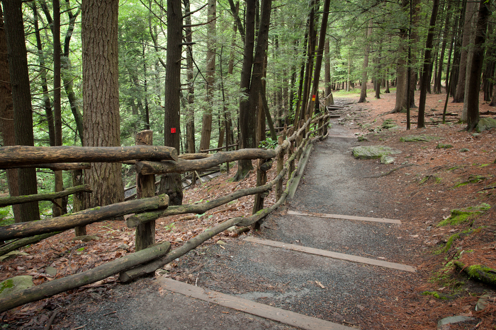 Bushkill Falls - Trails - Bushkill, PA | Scenic Wild Delaware River