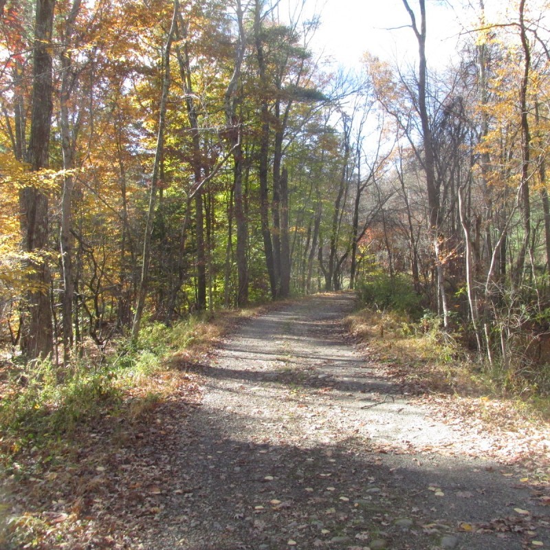 A Piece of Nature | Scenic Wild Delaware River