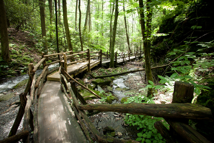 Bushkill Falls - Trails - Bushkill, PA | Scenic Wild Delaware River