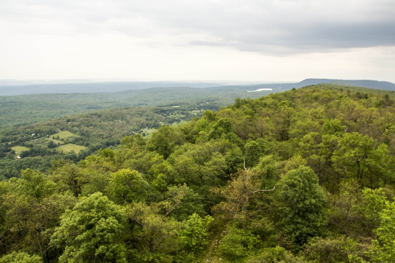 YMCA Camp Mason - Hardwick, NJ | Scenic Wild Delaware River