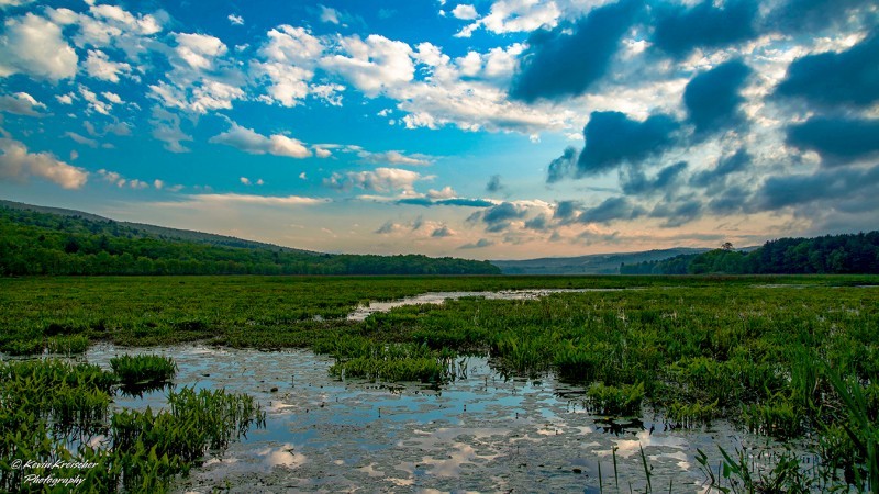 Bashakill Wildlife Management Area - Sullivan County, NY | Scenic Wild ...