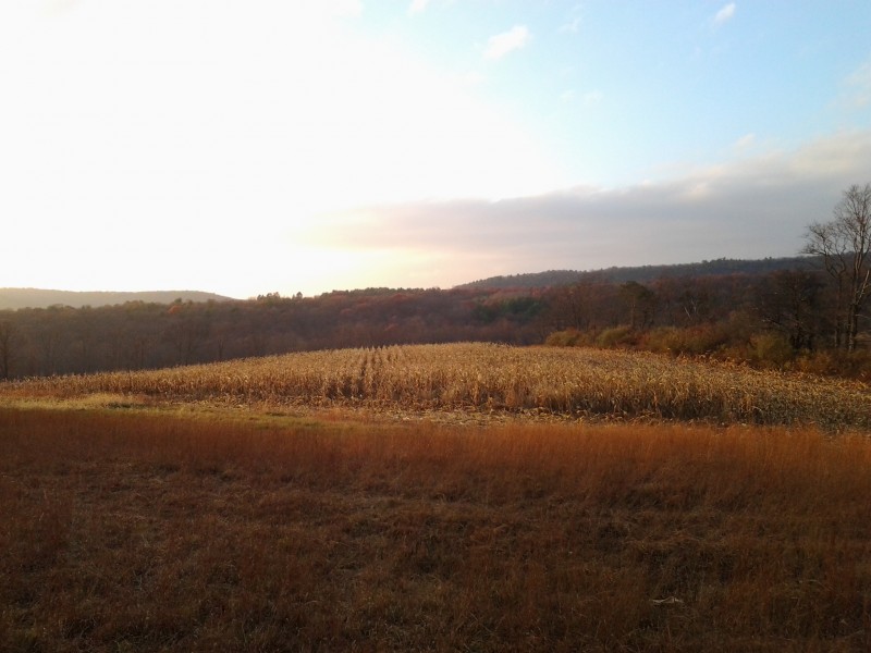 Mountain View Vineyard, Winery, Brewery & Distillery - Neola, PA ...