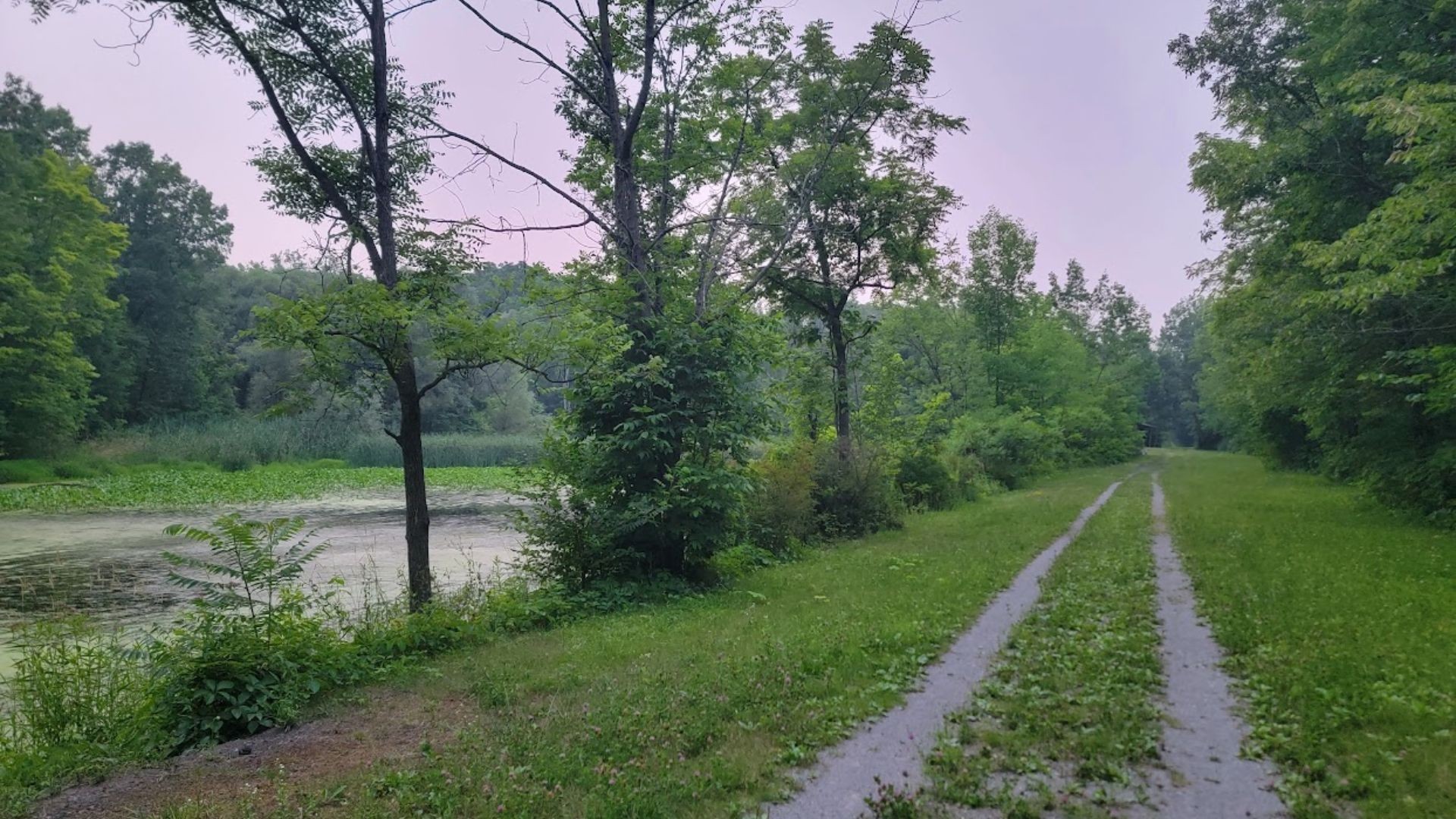 York Landing to Fowlerville Road | Genesee Valley Greenway State Park ...