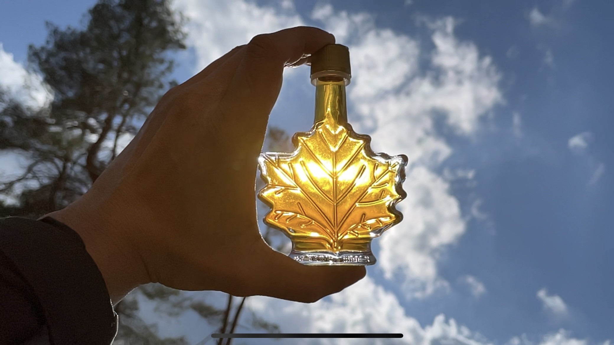 New York Maple: The Story Behind the Syrup | Explore Genesee Valley