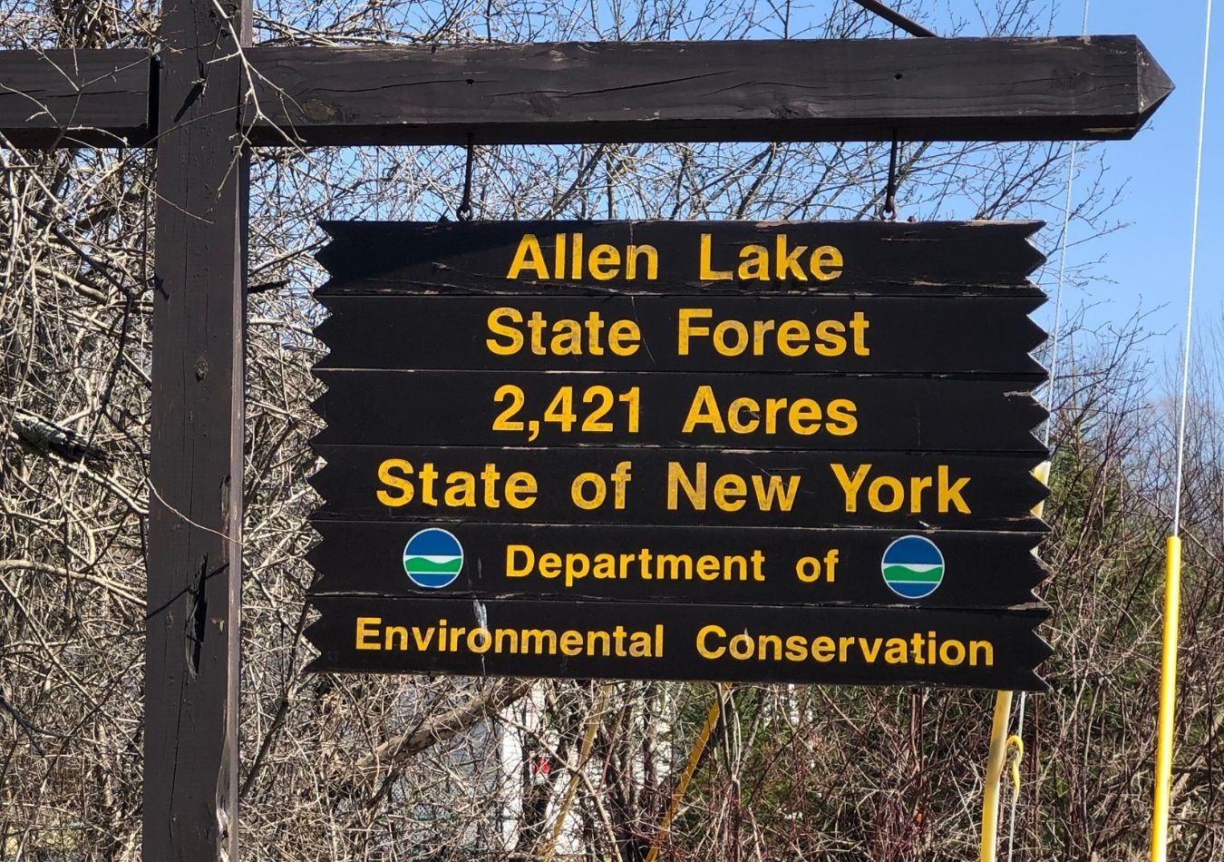 Allen Lake State Forest | Explore Genesee Valley