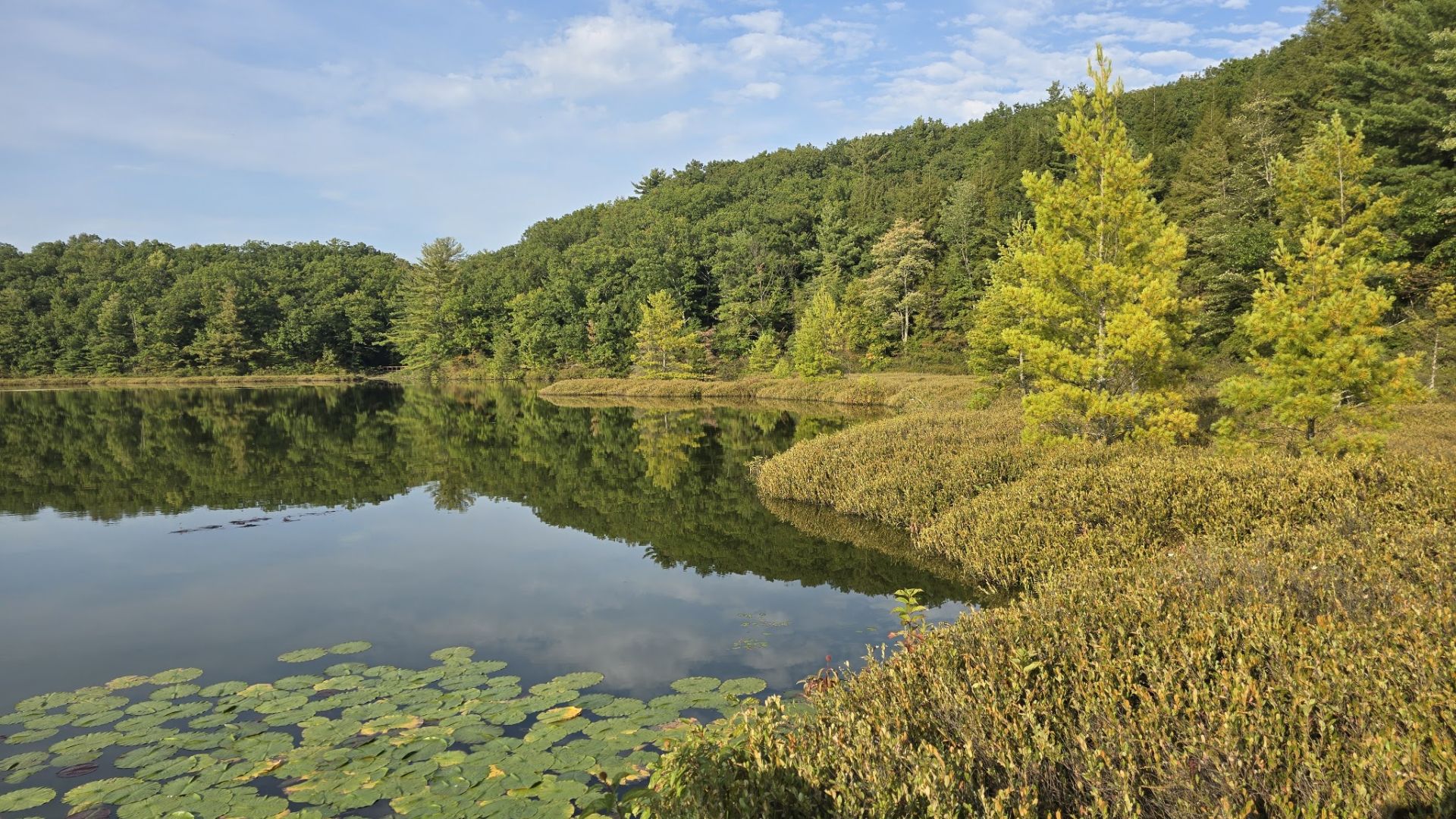 Moss Lake Adirondack Park Moss Lake Trail, New York 549 Reviews, Map
