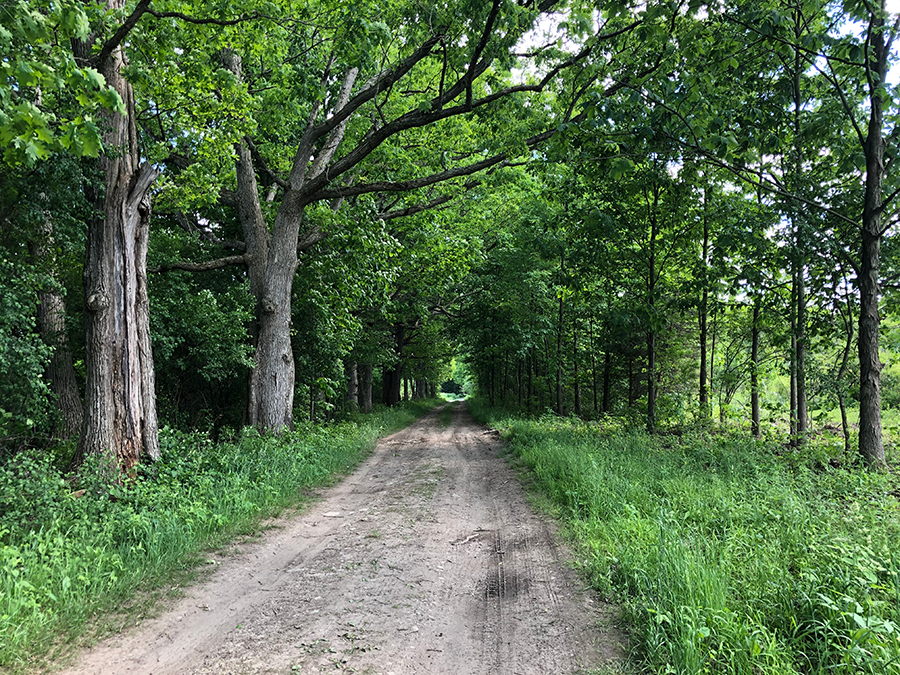 Sonyea State Forest Trail | Explore Genesee Valley