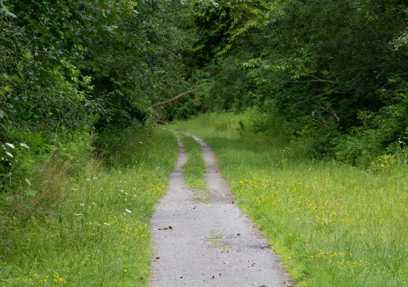Lehigh Valley Trail | Explore Genesee Valley