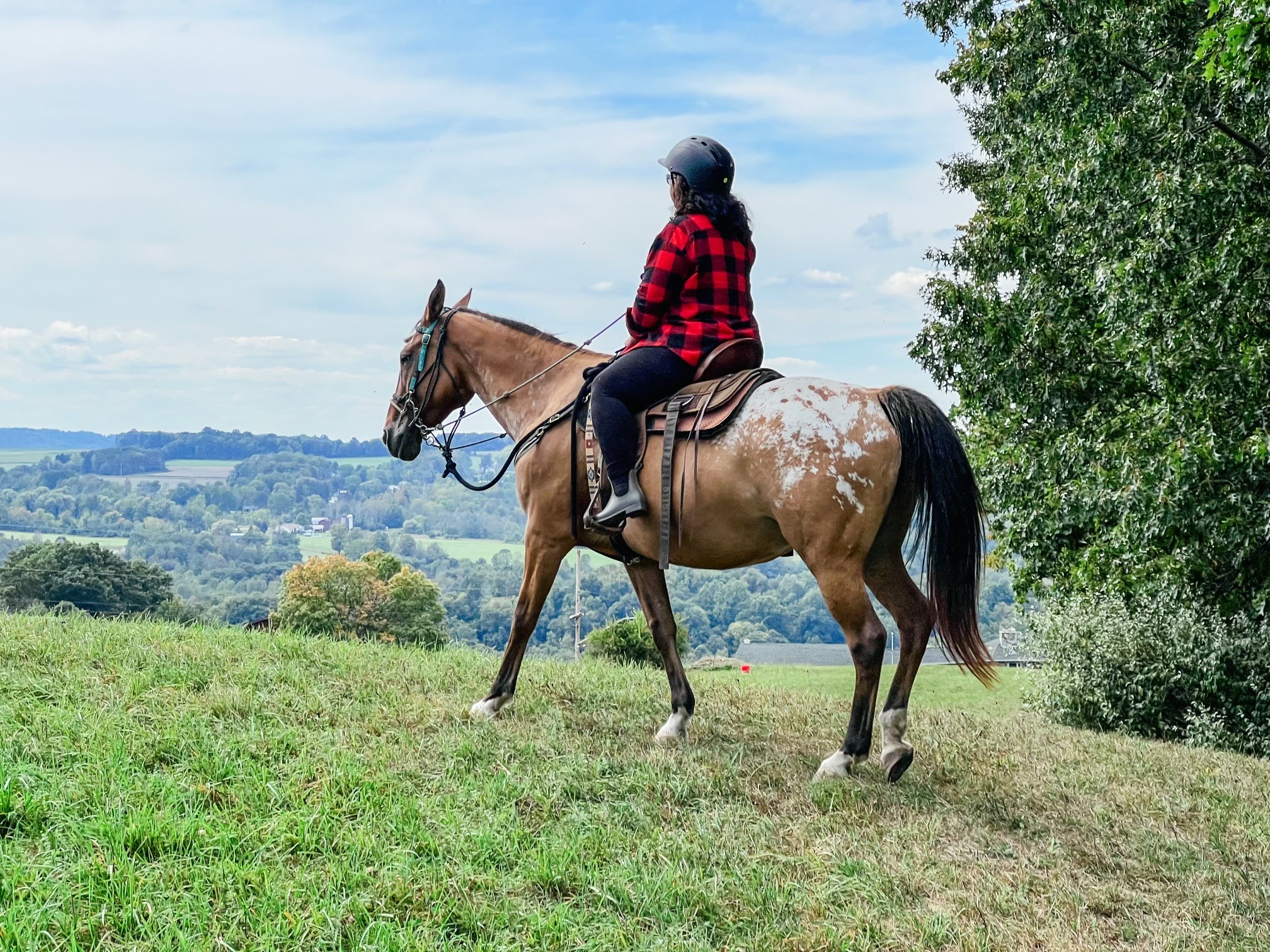 The Nunda Ranch: Guided Trail Rides | Explore Genesee Valley