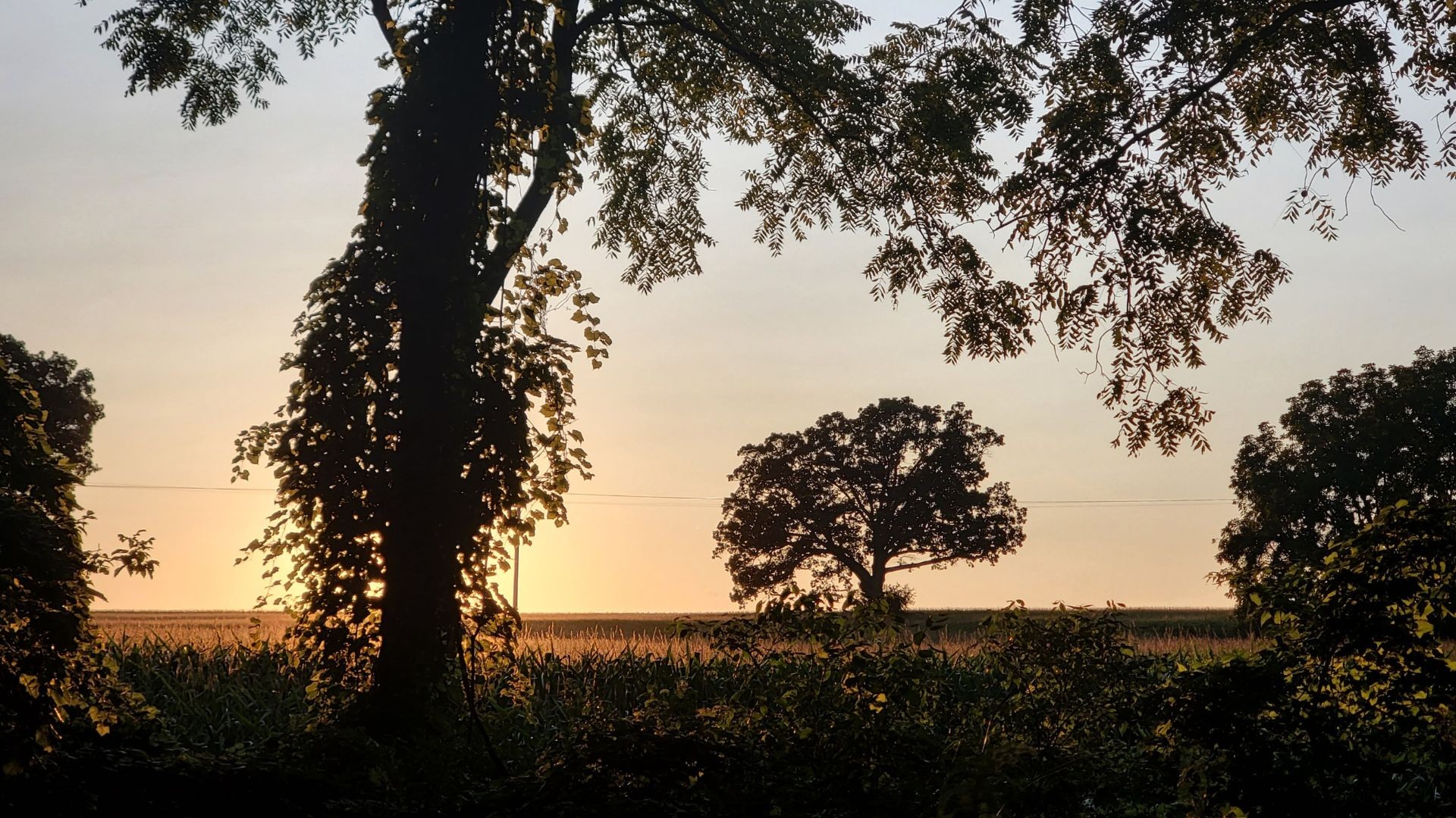Erie-Attica Trail to Wadsworth Junction | Genesee Valley Greenway State ...