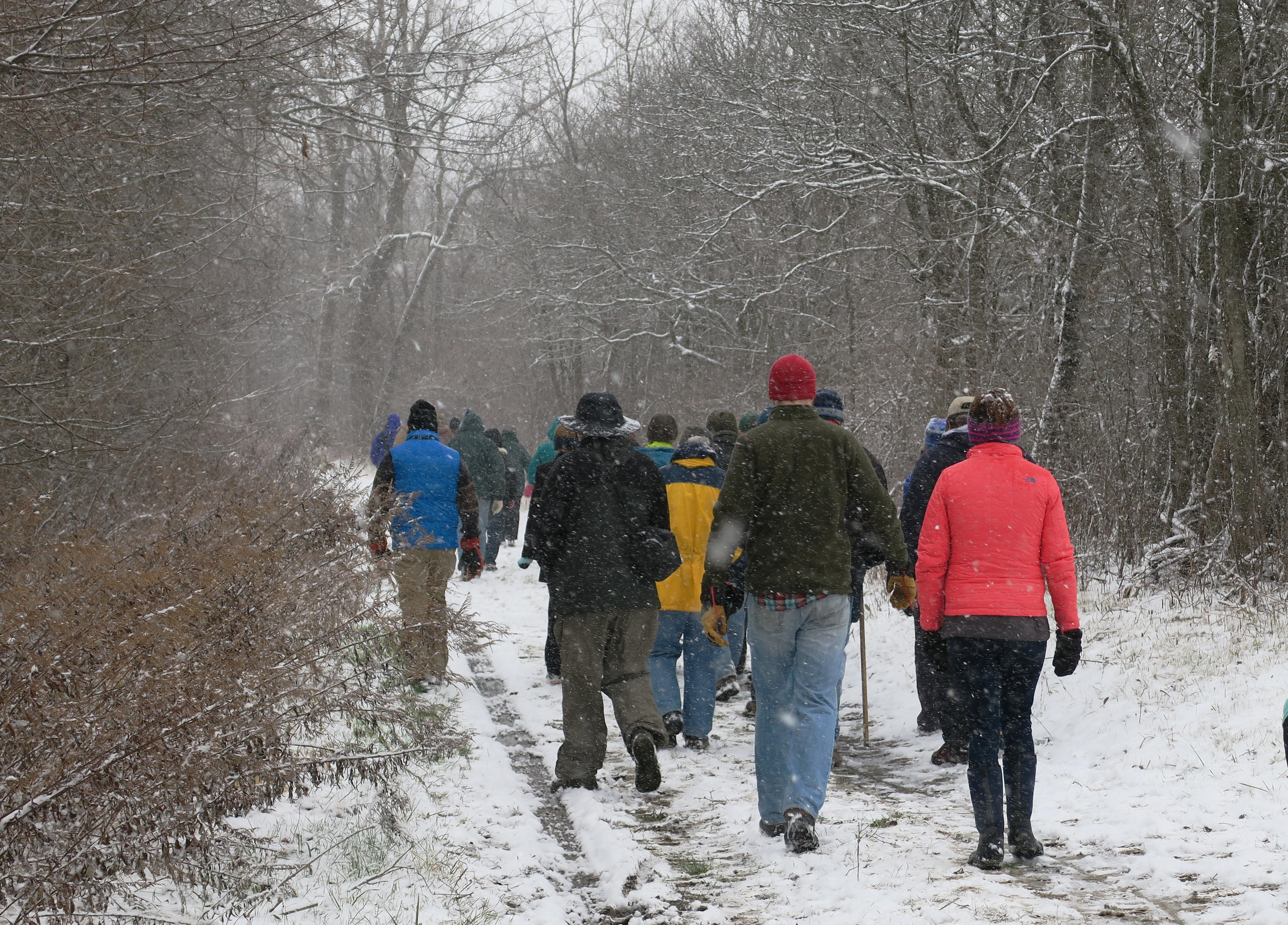 Genesee Valley Greenway State Park | Explore Genesee Valley