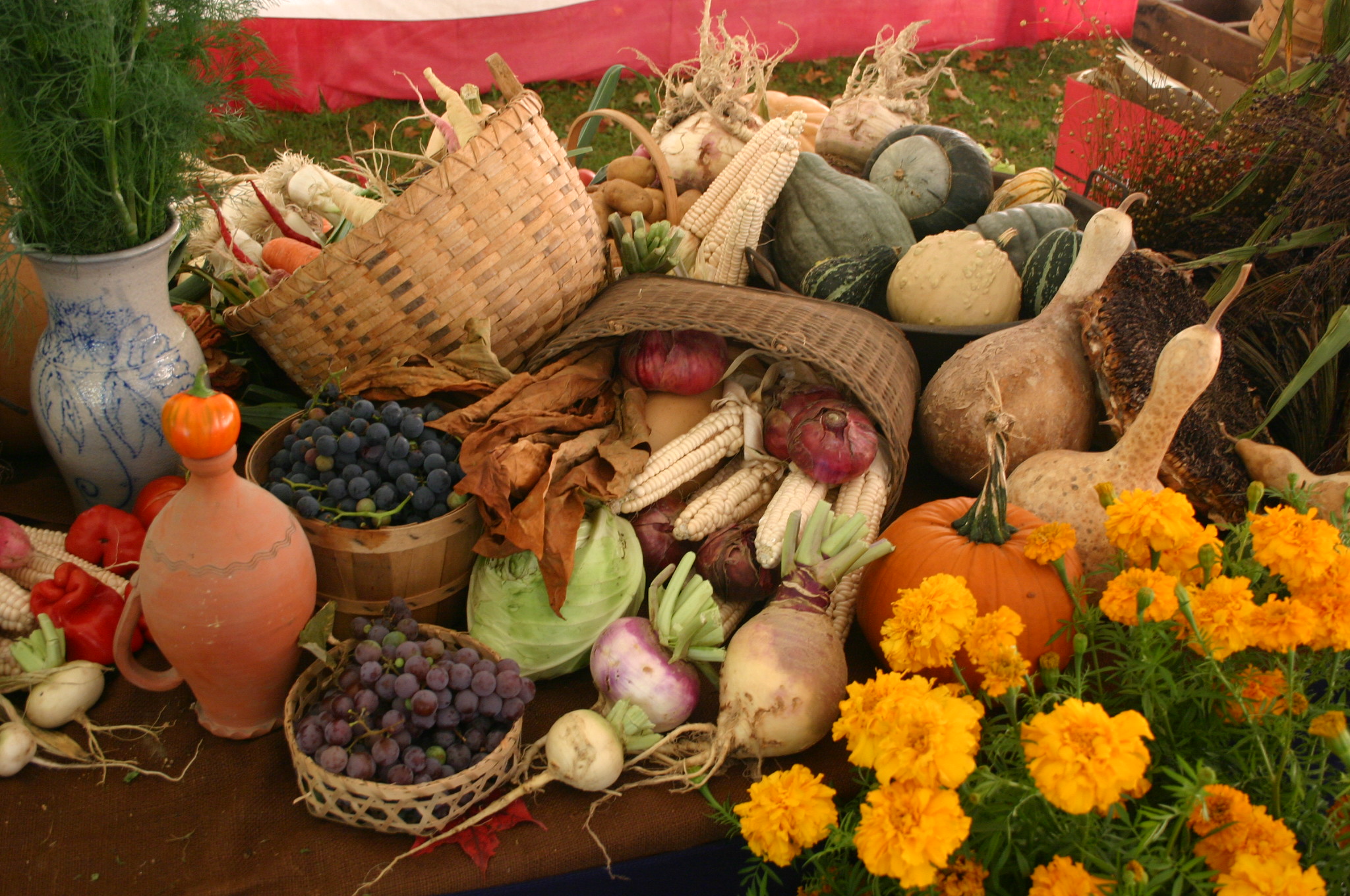 Genesee Country Village & Museum | Explore Genesee Valley