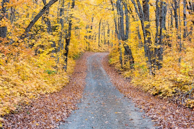 Bryan Hansel Photography | Heart of the Continent